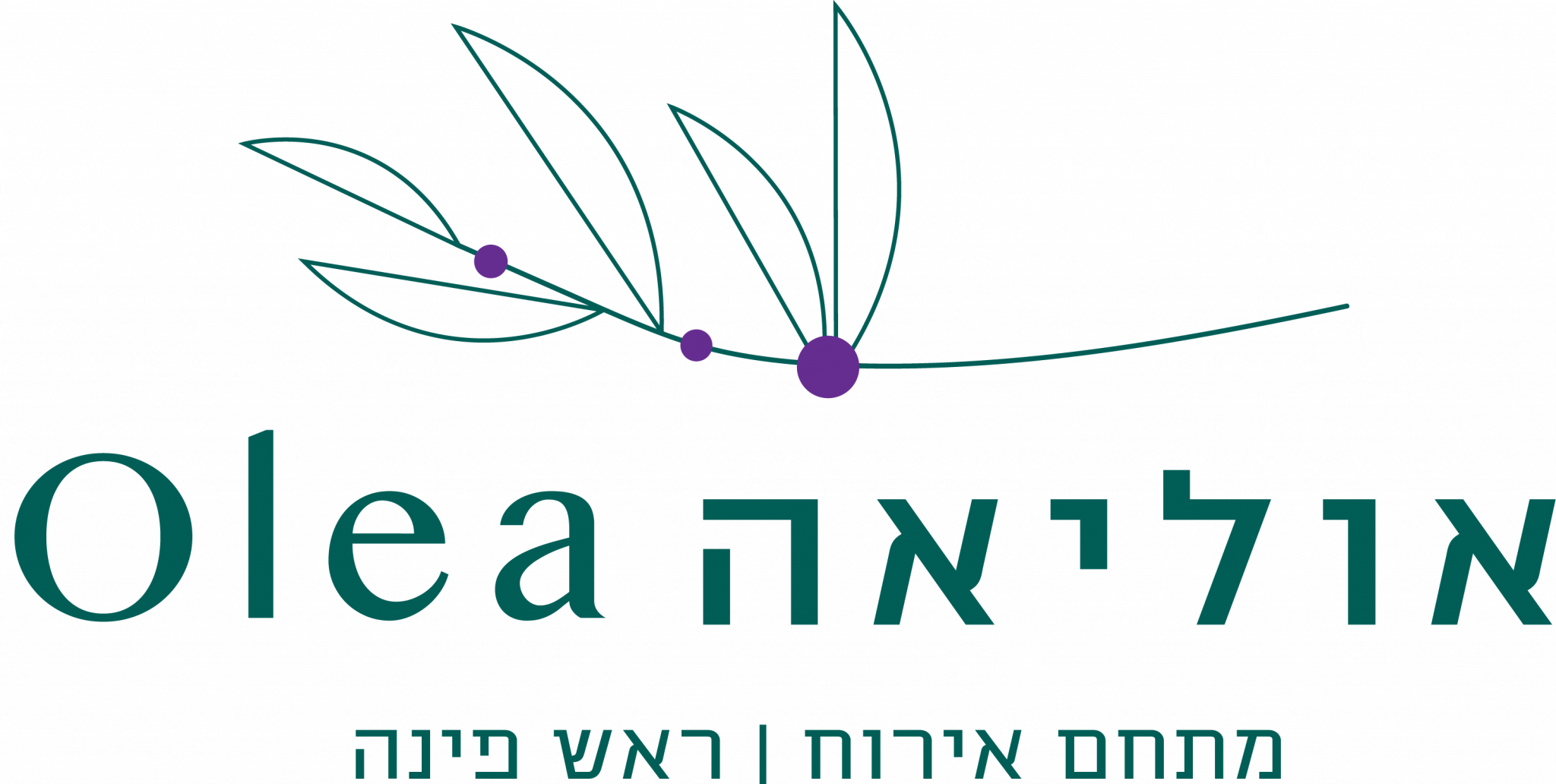 הזמנות אוליאה Olea